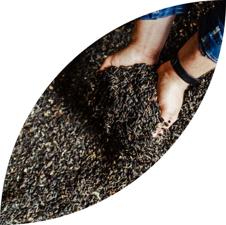 EastGrain | About us